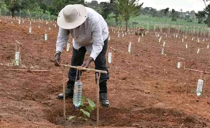 FARMING LESSON! IRRIGATION: Irrigation is the process of watering crops ...