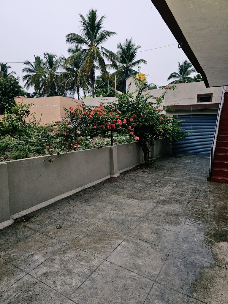 Dr Deepak Krishnamurthy on Twitter: "At "Krishna" our home at #Mysuru. All of us together in ...