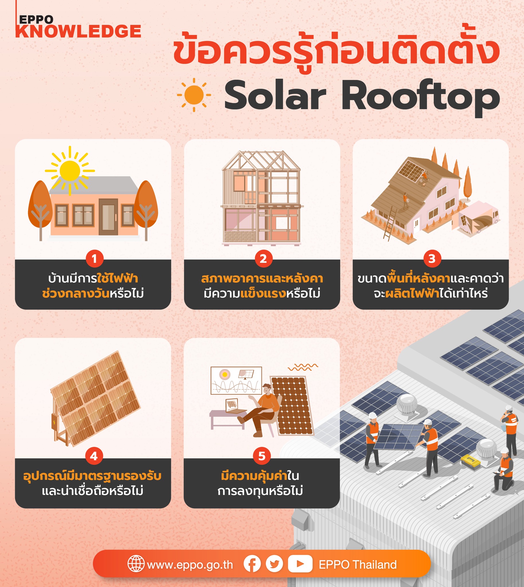 EPPO Thailand (@EppoThailand) / Twitter