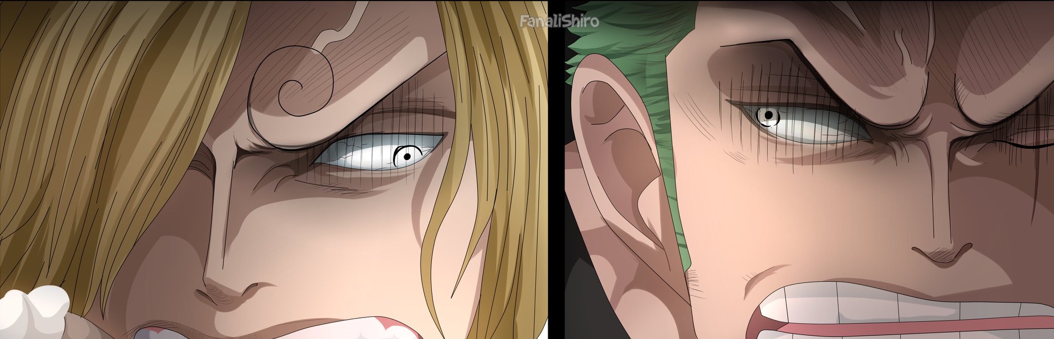 One Piece Zoro Left Eye