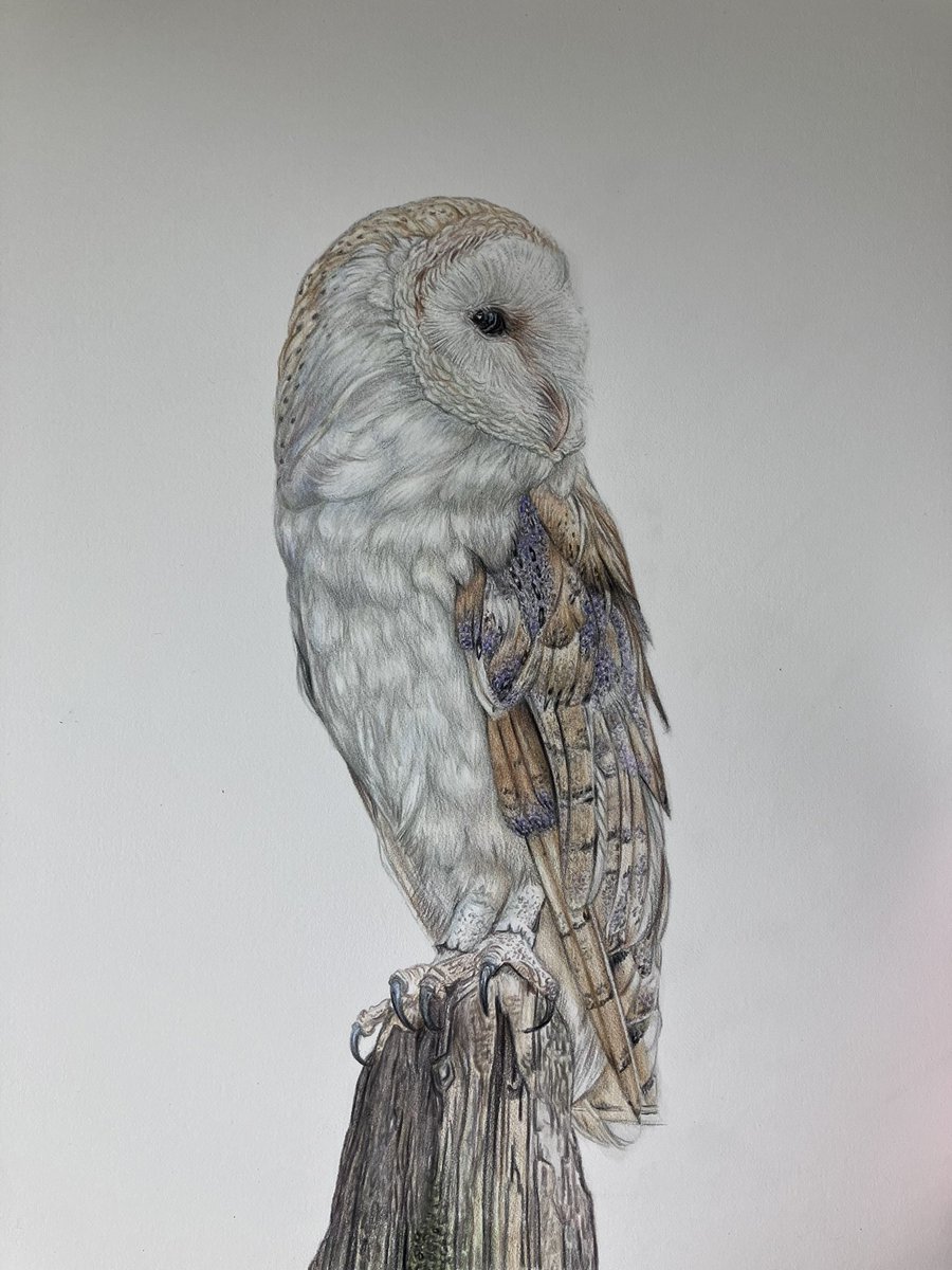 Lisa Wellwood Artist on Twitter: "I got a bit more done today, but as per usual, it’s very time ...