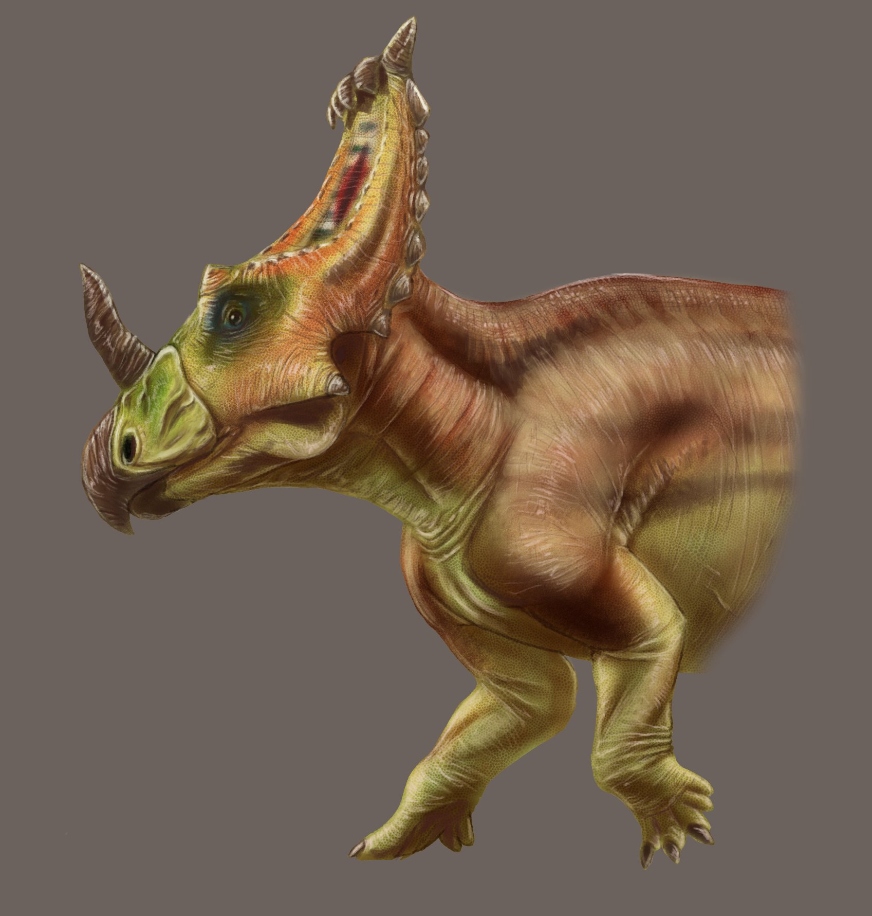 Vagaceratops