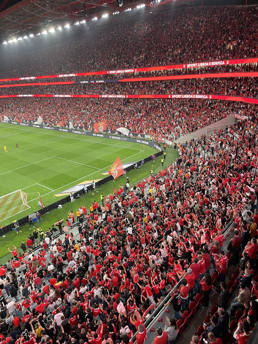 Benfica Stuff on Twitter: Benfica Stuff on Twitter: