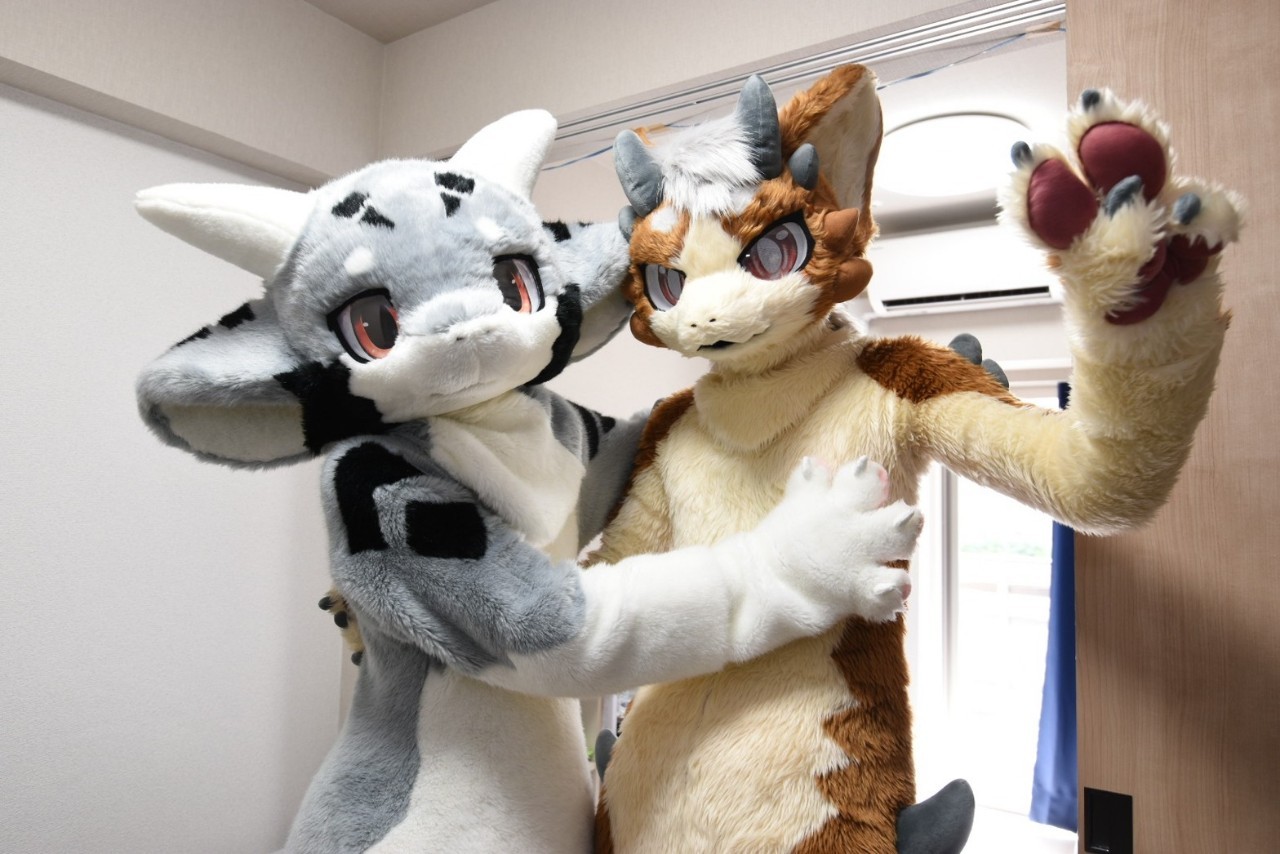 椰子🔜极兽聚 (花月が欲しい on Twitter: "変態！！ 📷 @SC_Raiha #FursuitFriday https://t.co/nyZzLjHbXI" / Twitter