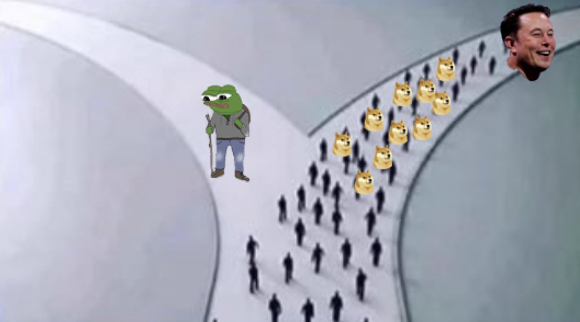 Cold on Twitter: "stay on the right path, even if you have to walk alone. $pepe"