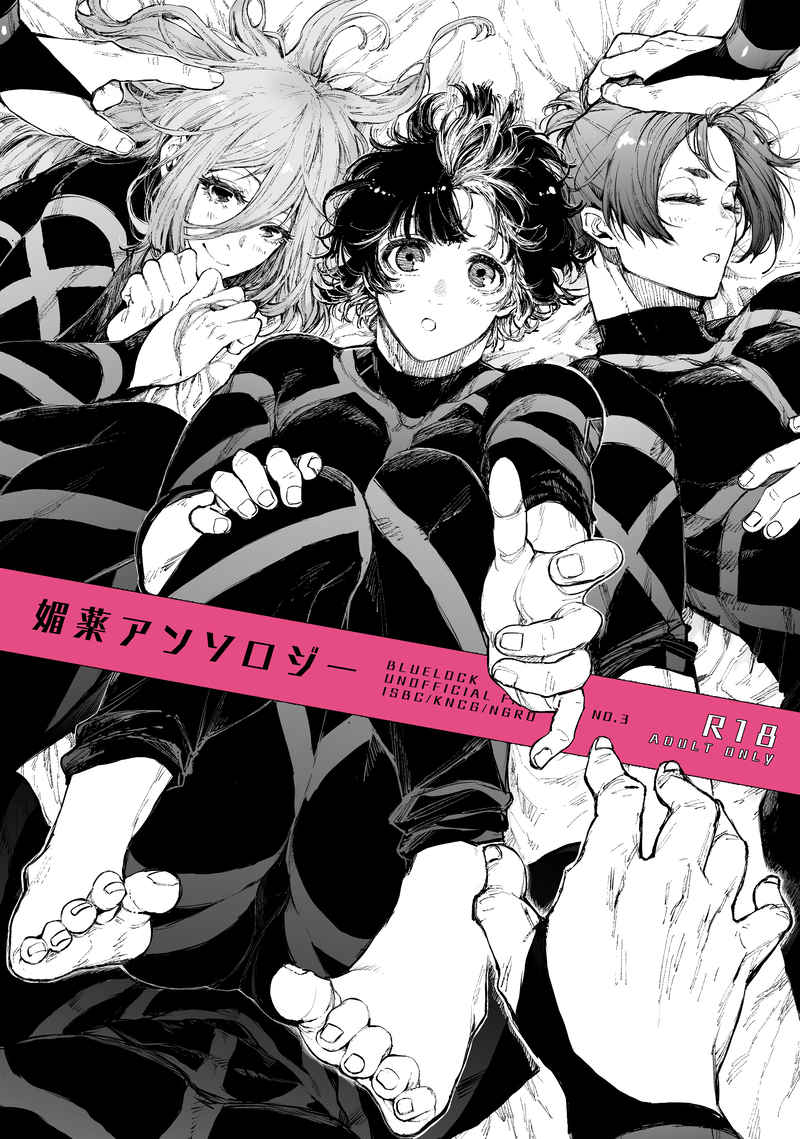 とらのあな通信販売・女性向 on Twitter: "（同人誌）サークル【Minnie】(@dahlimasu)の“超青春エゴイズム 2023”新刊は、媚薬を盛られた攻め達が、それぞれの相方に ...