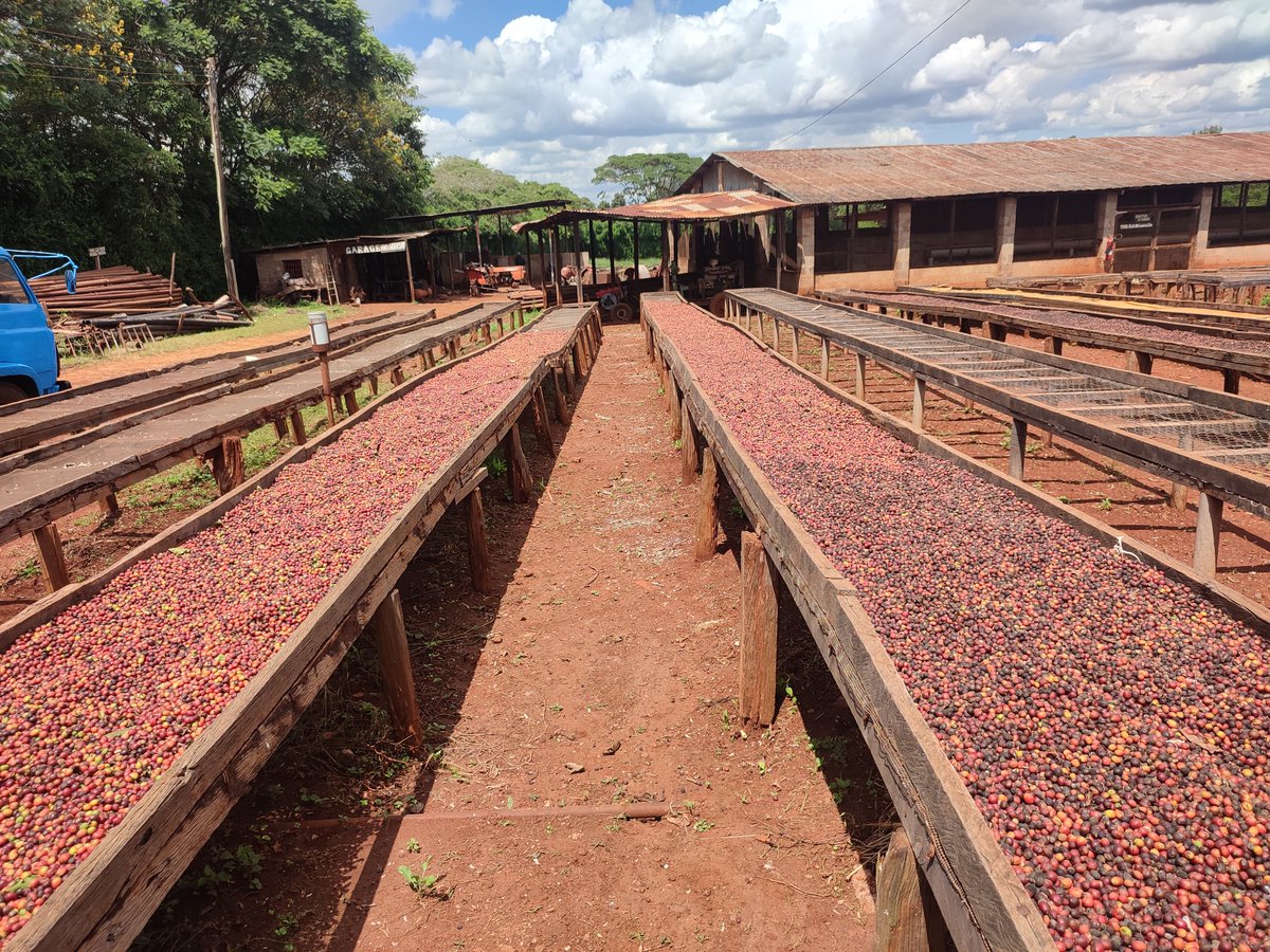 Some farm tours in Kenya. • LELESHWA WINE TOUR (Naivasha) Cost KES ...