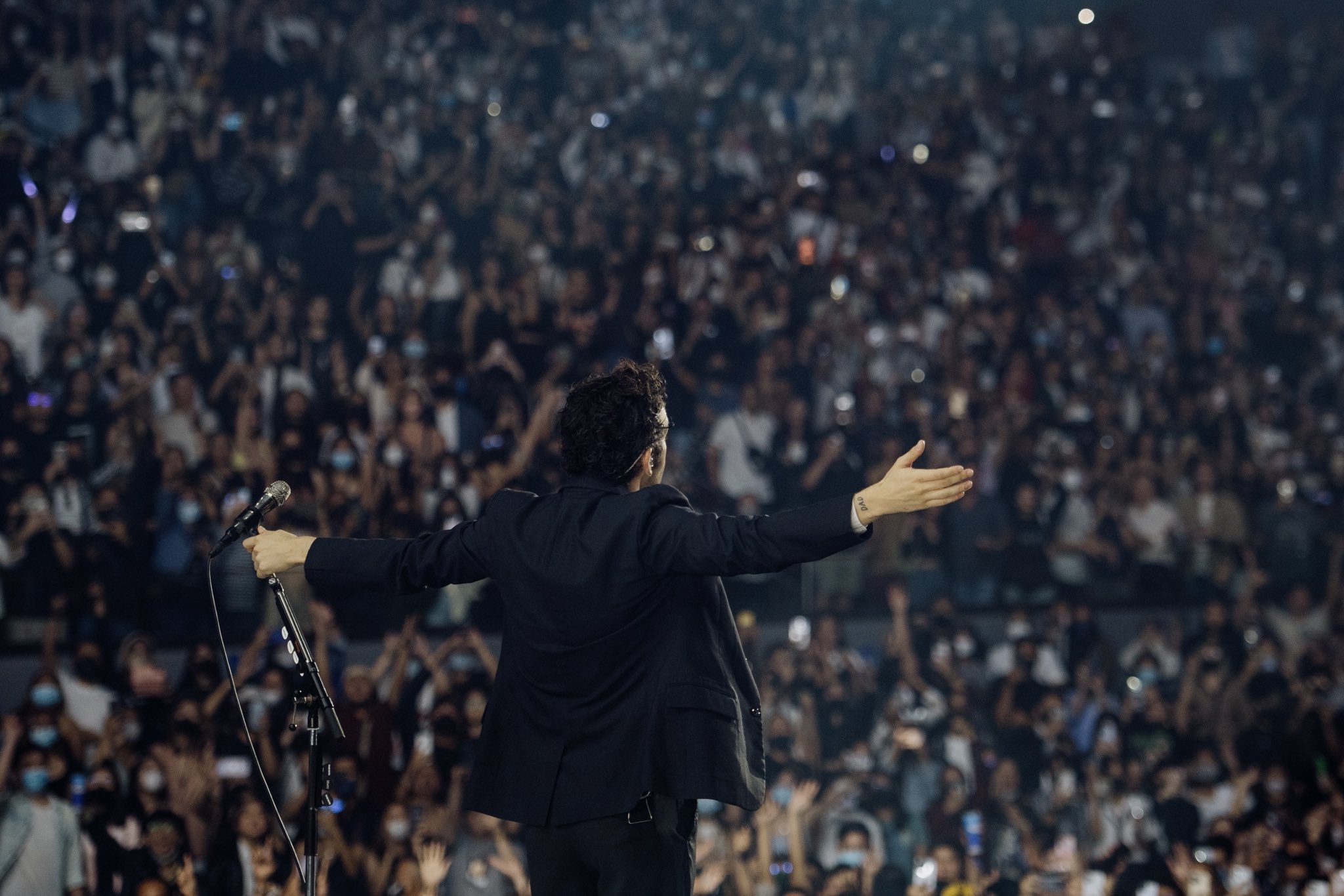 The 1975 Concert Crowd