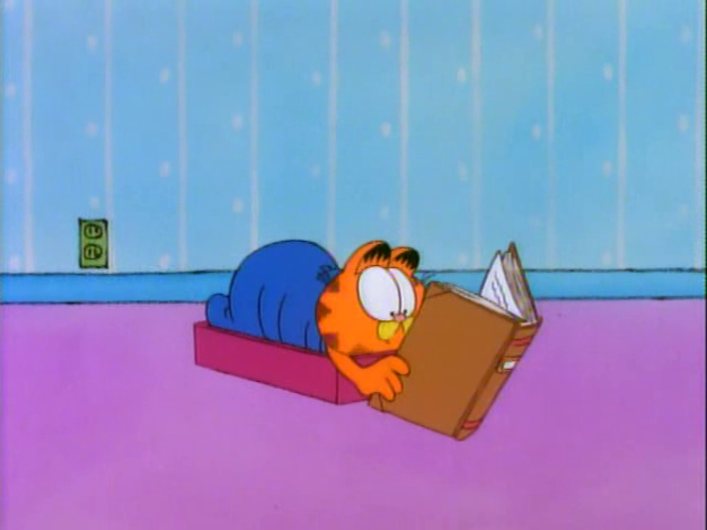 Garfield Sleeping In Box