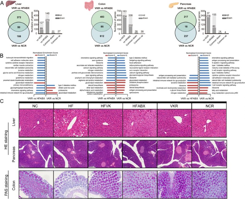 🥼Agingdoc1⭐MD, PhD 🔔 on Twitter: "Vitamin K2 supplementation improves impaired glycemic ...