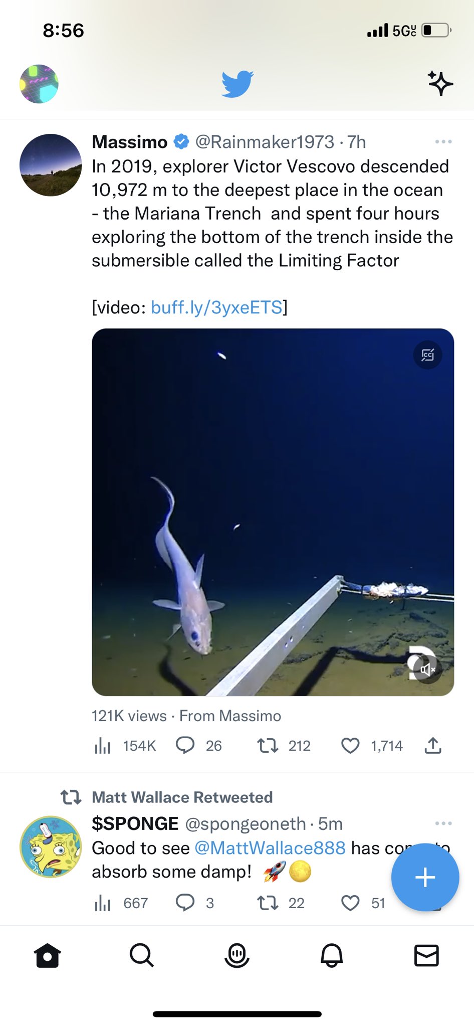Stray Turtle ️ On Twitter Like Maybe Alien Lifeforms Wont Look Like