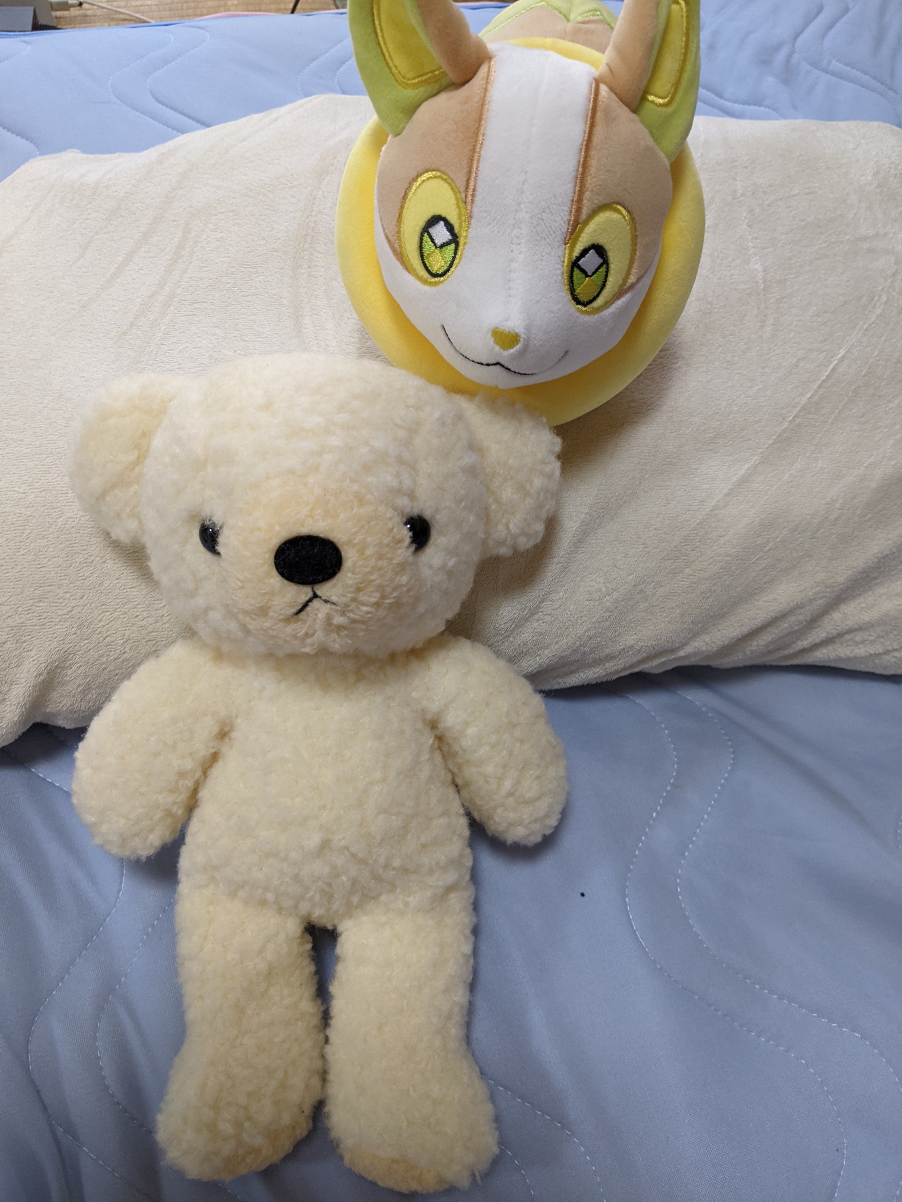 もふ (@mofu_fuwa_mom) / Twitter