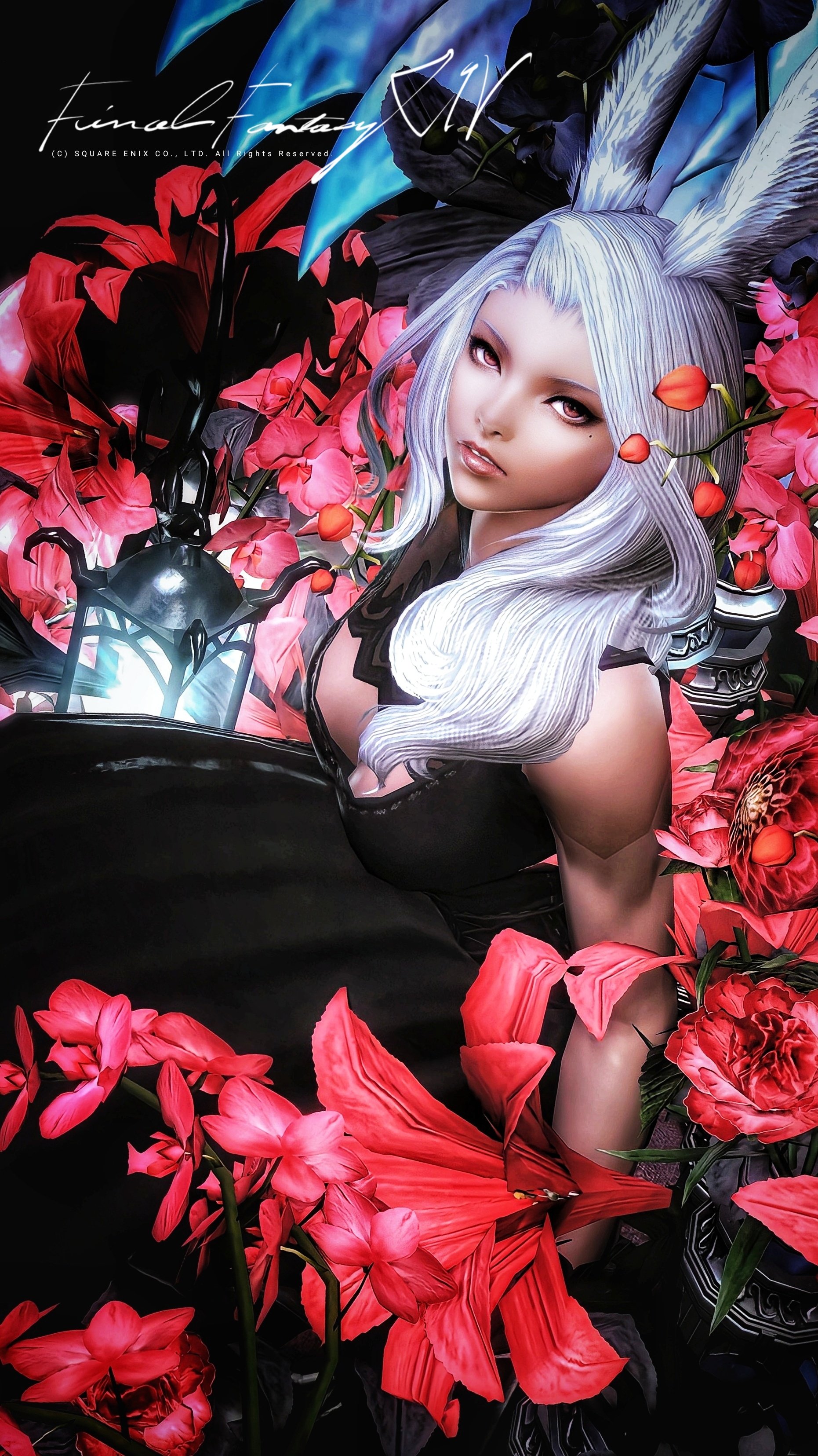 ドアコnext5/10-11 on Twitter: "@dragons_dqx もう暇になったわよ！明後日から名古屋だから帰ったら！" / Twitter