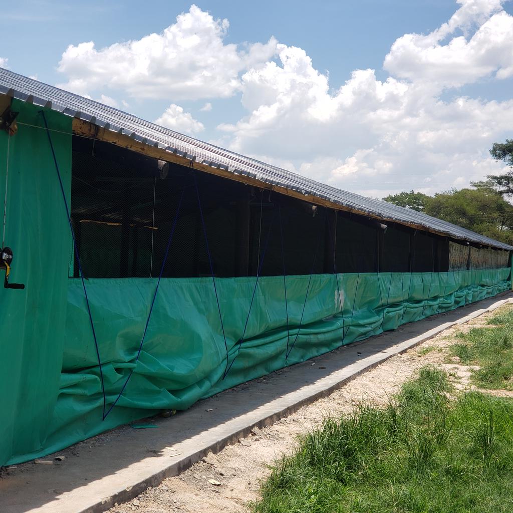 Upgrade your poultry barn with our stylish and functional poultry ...