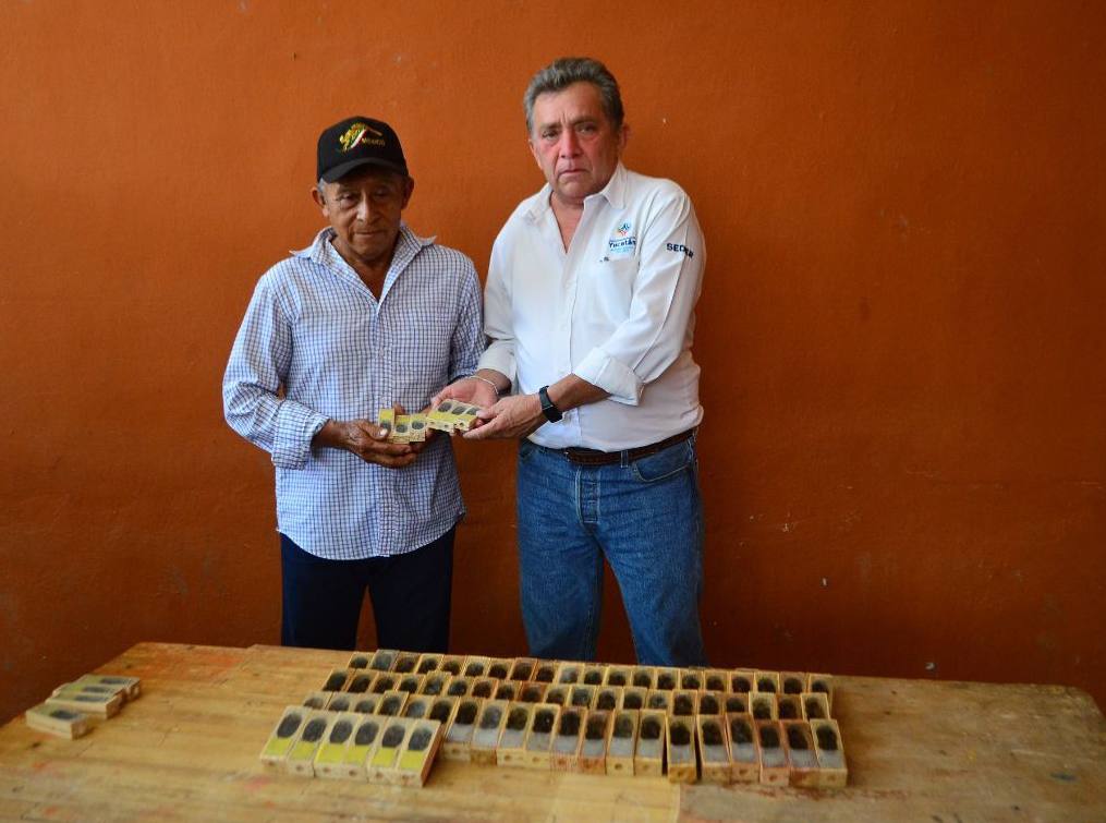 Gobierno De Yucatán On Twitter Entregamos Paquetes De Abejas Reina En