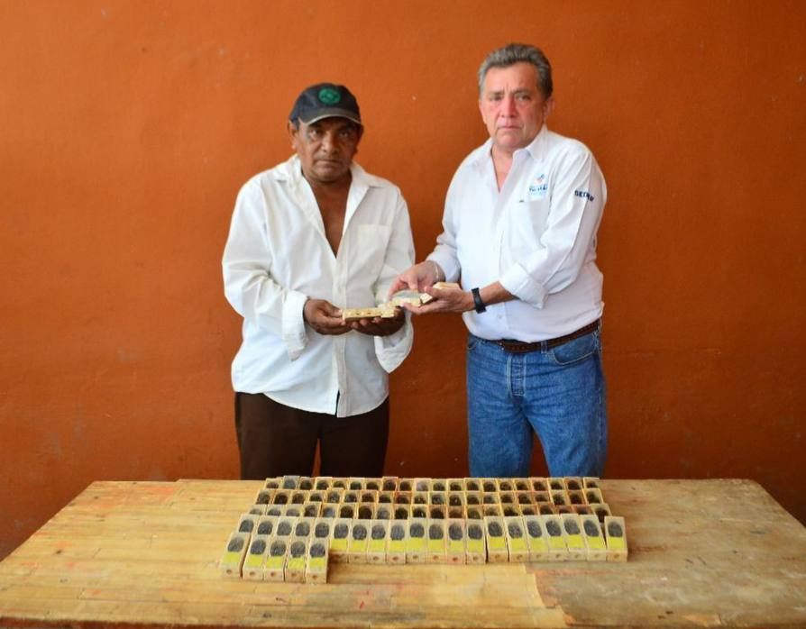 Gobierno De Yucatán On Twitter Entregamos Paquetes De Abejas Reina En