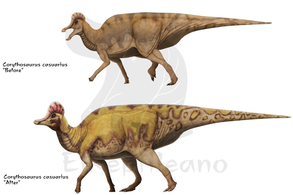 El Reptileano Open Commissions On Twitter Corythosaurus Redesign I Am Very Excited About
