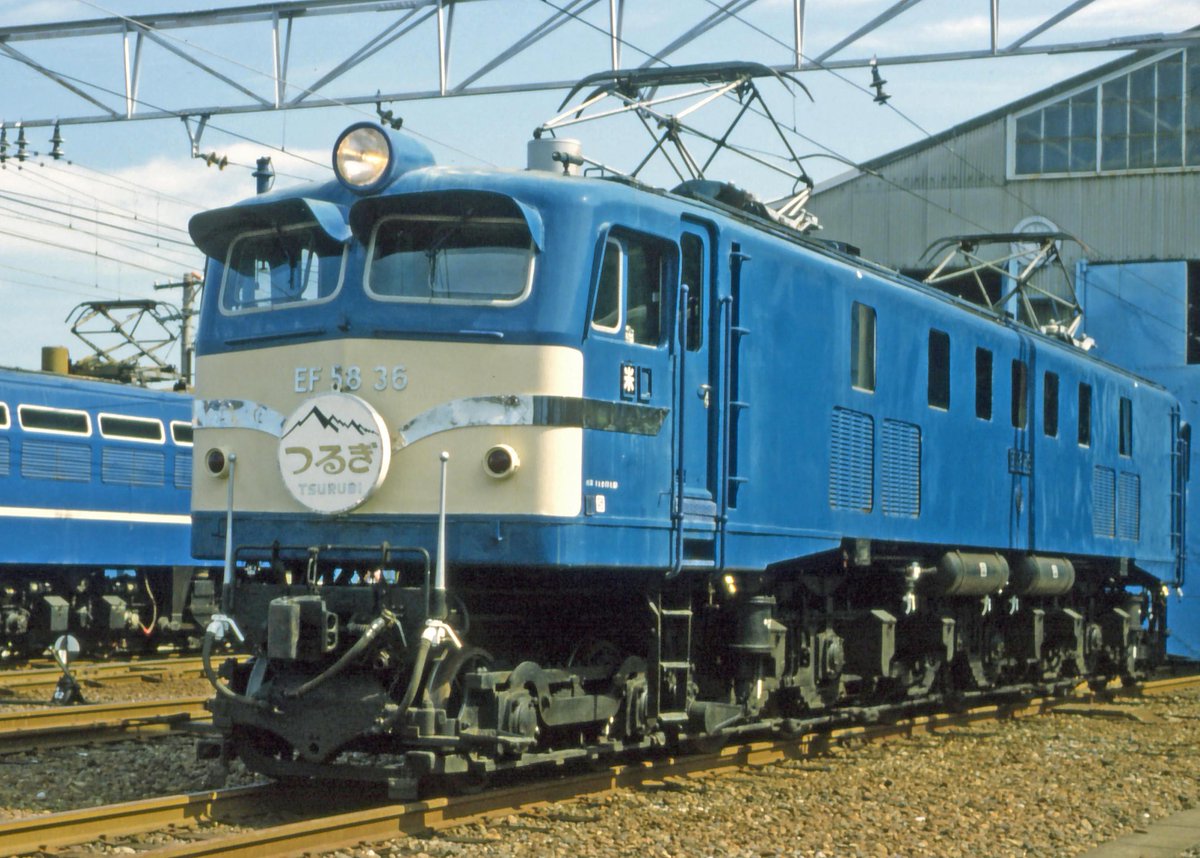 クラちゃん on Twitter: "RT @ja819061: #EF58の日 EF58 36 『つるぎ』米原機関区公開"