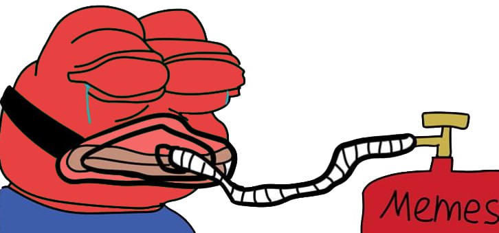 Memes Del Pepe Roja No Robar | •Meme• Amino