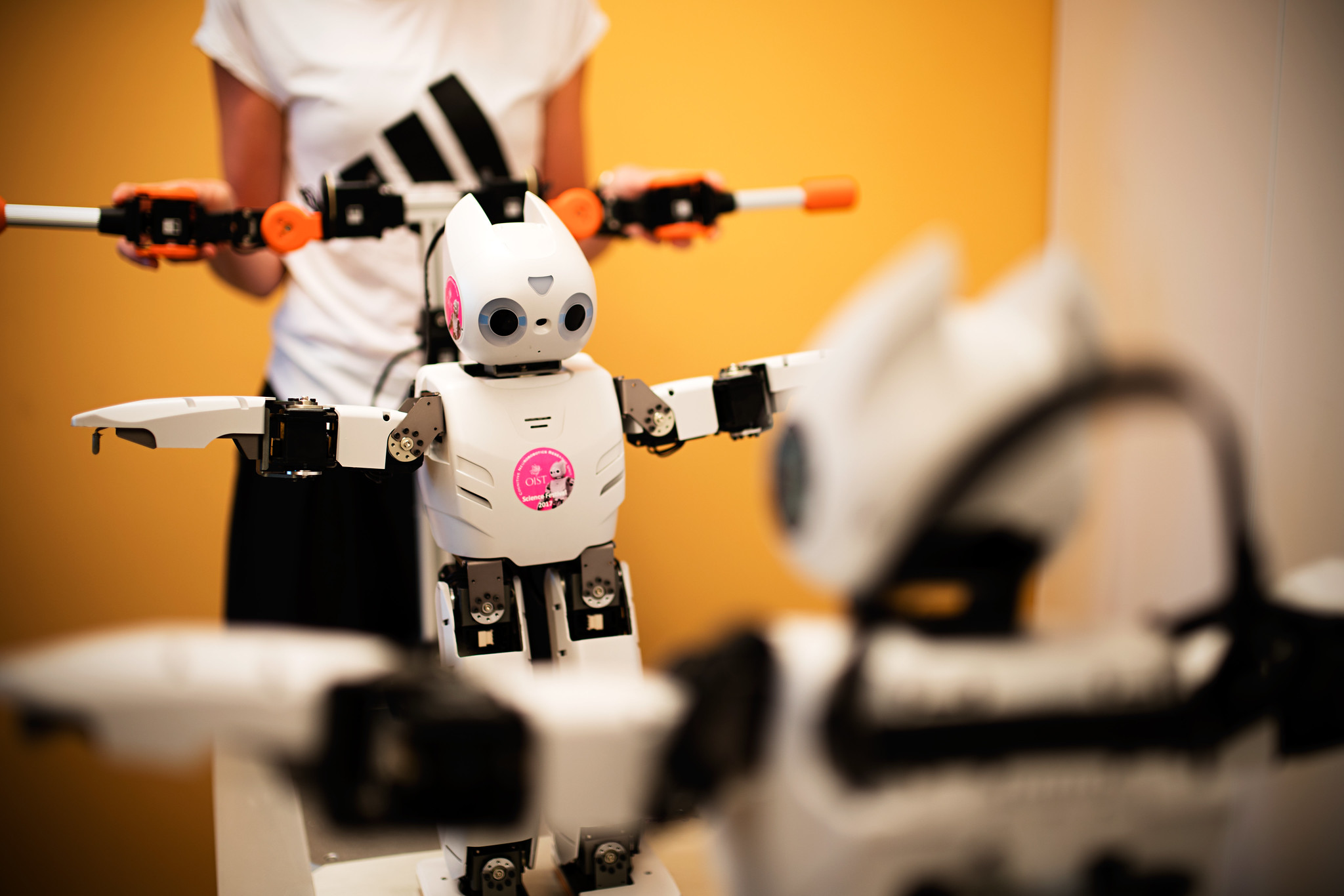 OIST on Twitter: "What do you get when you mix cognitive neuroscience with robotics🤖? The ...