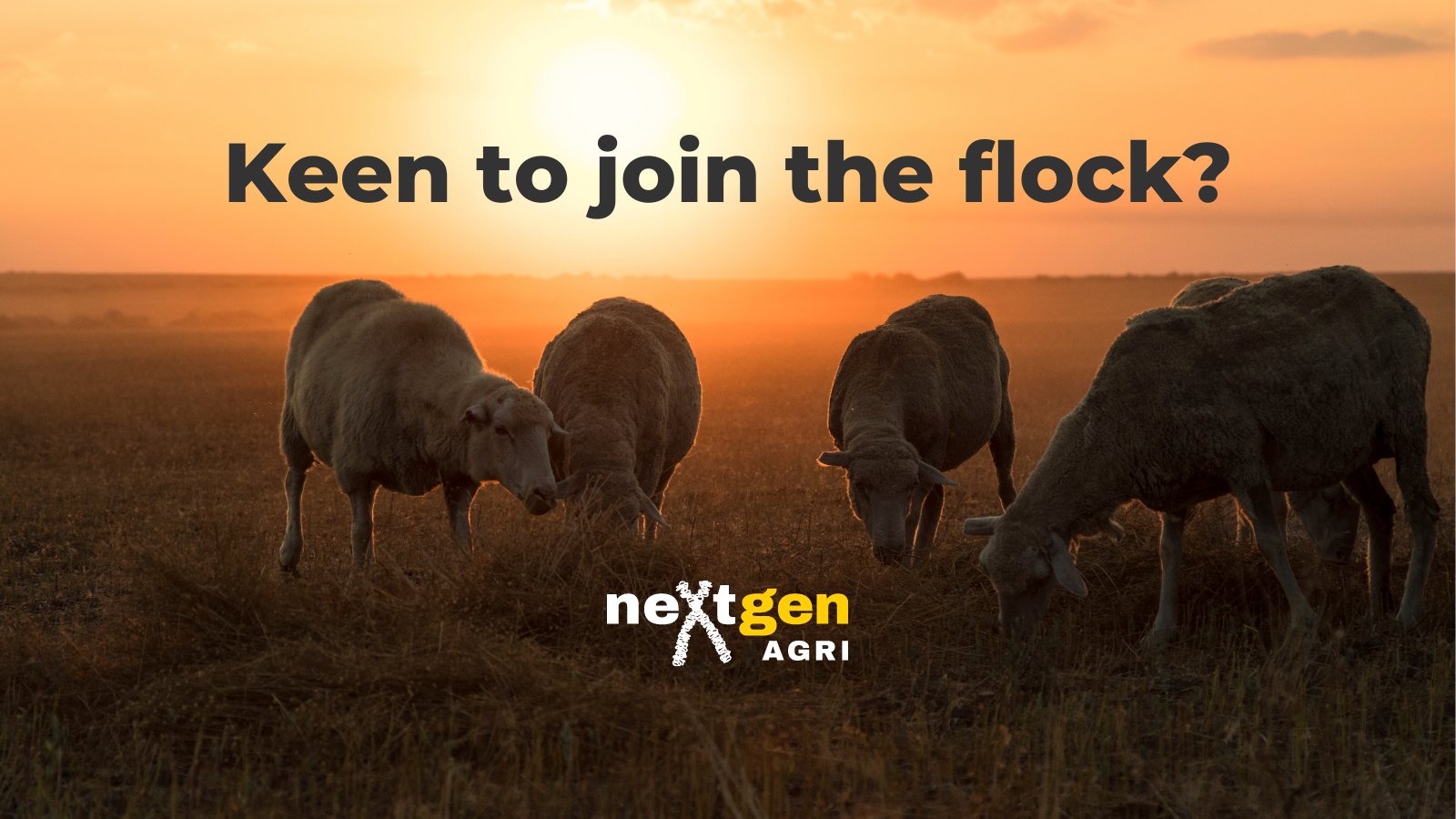 Mark Ferguson on Twitter: "Do you live (or want to live) in WA? We're looking for a superstar to ...