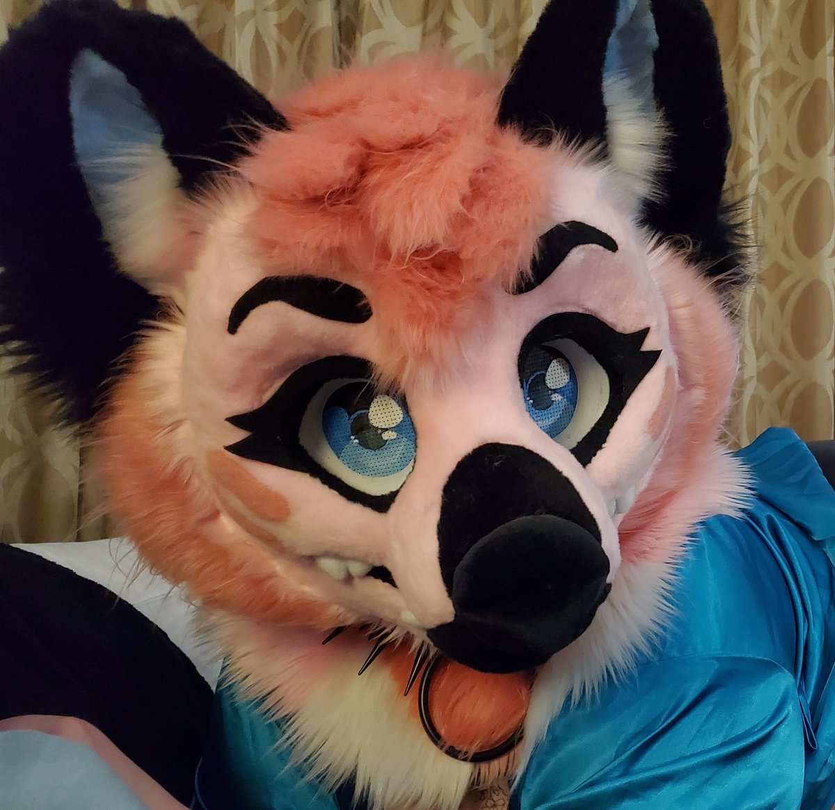 Cosmic Whore☄️🔜FWA on Twitter: "💖furry g-... girls? Girl. Yeah.💖"