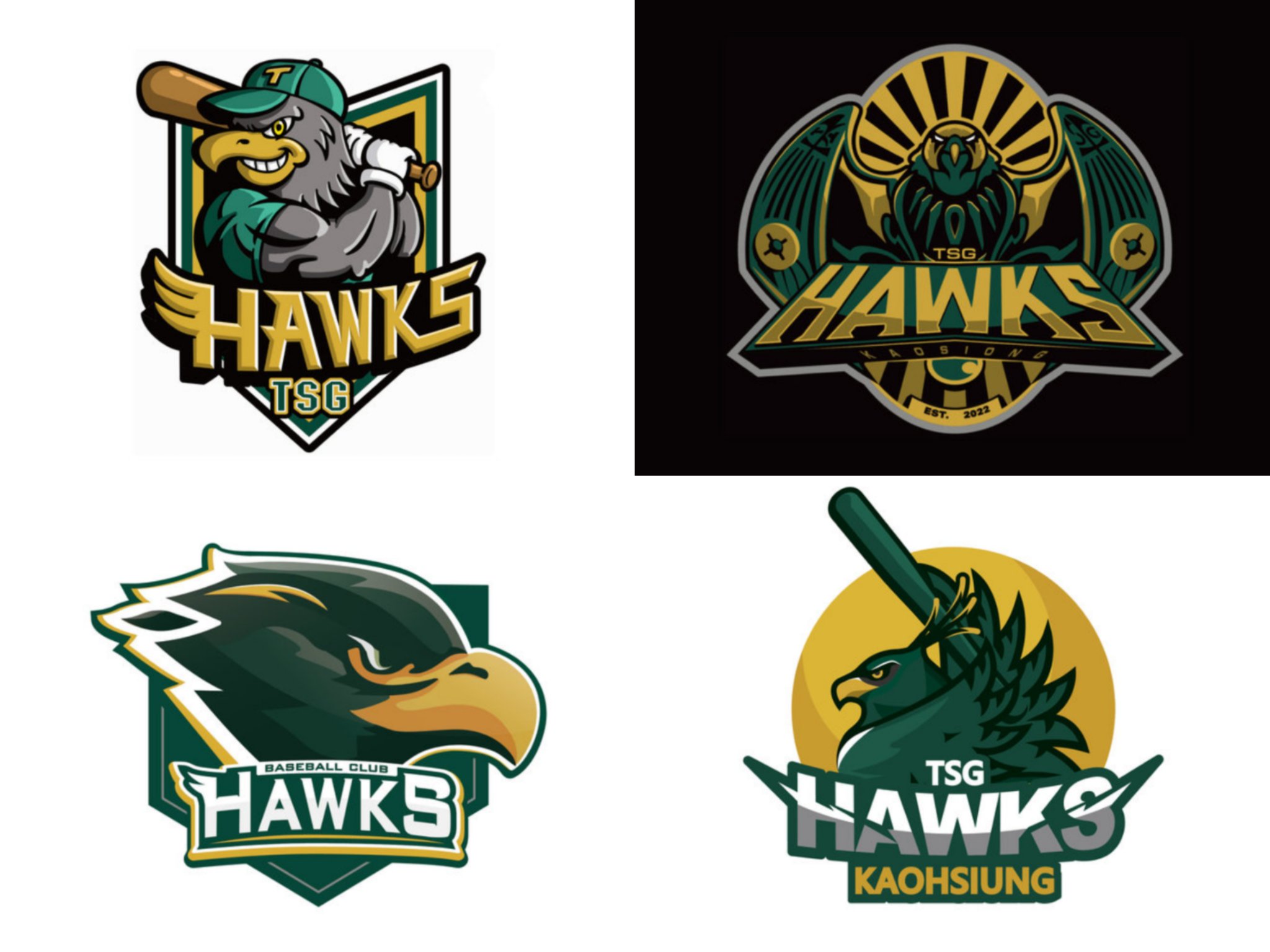 Hawk Baseball Logo Baseball Black Hawk College