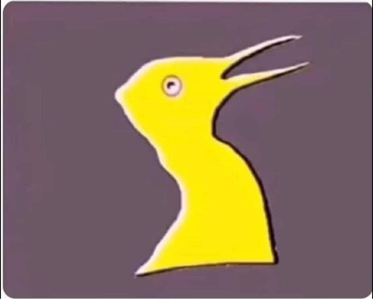 ЦАГААН ШҮХЭРТ On Twitter Хэрвээ таны баруун тархины үйл ажиллагаа давуу бол Нохой харах болно