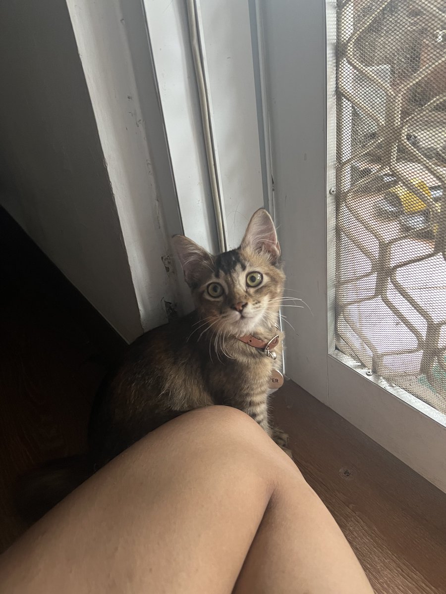 Papi on Twitter: "“Papi mau nunggu Tui” Piper