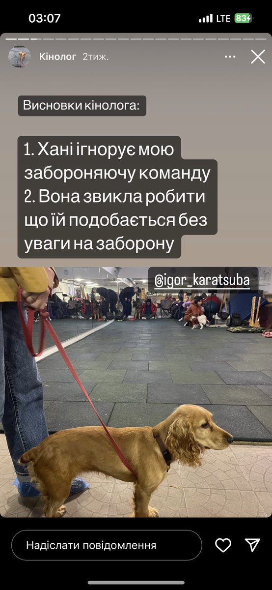 лучанка 🇺🇦 On Twitter Настрій напустити шакалячий експрес на дівчину