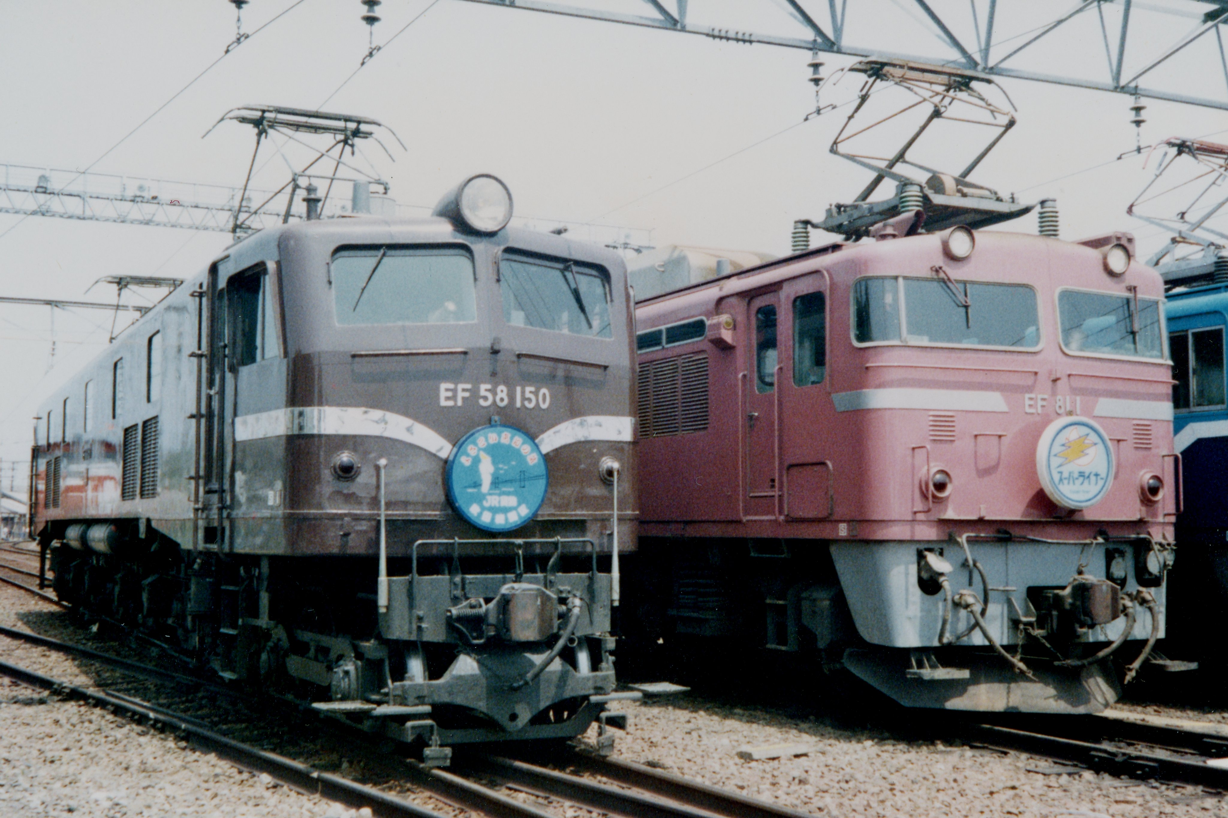 ぽんぞう on Twitter: "懐かしの撮り鉄☺️ EF58 150/EF81 1 吹田機関区 撮影会 #懐かしの撮り鉄 #EF58 #EF58の日 #EF81 #吹田機関区 https ...