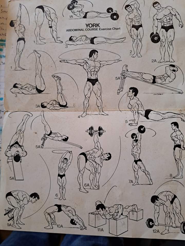 Abdominal Exercises Chart
