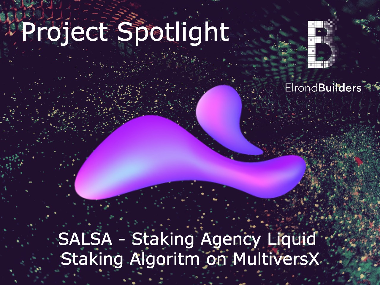 Multiversx Builders Previously Elrond Builders On Twitter 1 Salsa