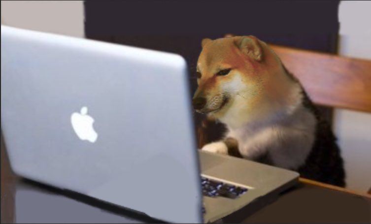 $Cheems on Twitter: "Message from Dev Cheems: Working on some dope stuff! Stay tuned !Cheems"