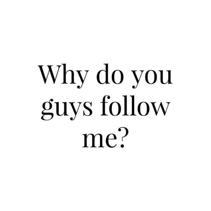 Elvern 🌲forestelfvtuber🌲 On Twitter I Am Really Curious No One