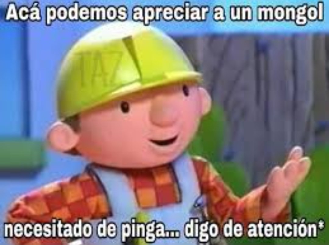 John S. Black⚡ on Twitter: "Y los peruanos hacemos memes de Bob el constructor"