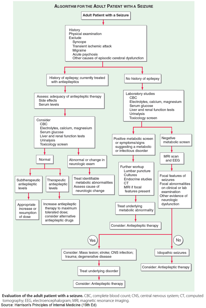 Manual Of Medicine On Twitter Algorithm For The Adult Patient With A