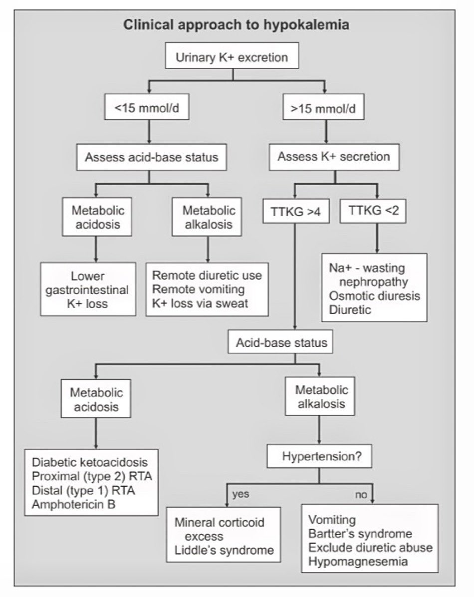 Hypokalemia Approach
