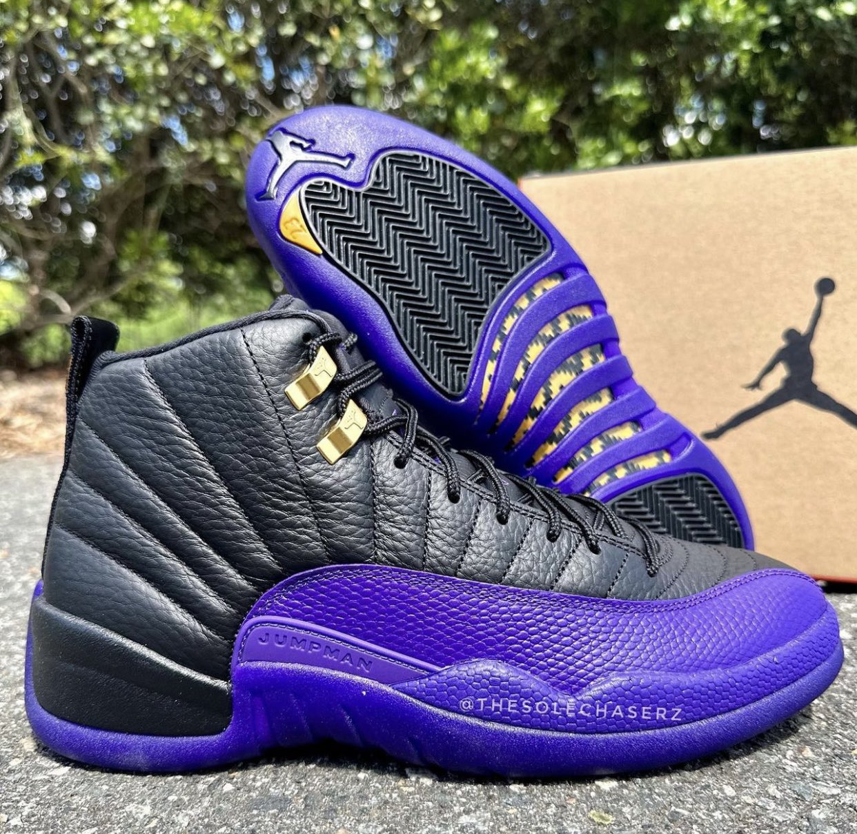 𝕞𝕚𝕥𝕤𝕦 on Twitter: "Nike Air Jordan 12 “Lakers” (Field Purple) 2023年7月29日発売予定👟 #nike #jordan12 # ...