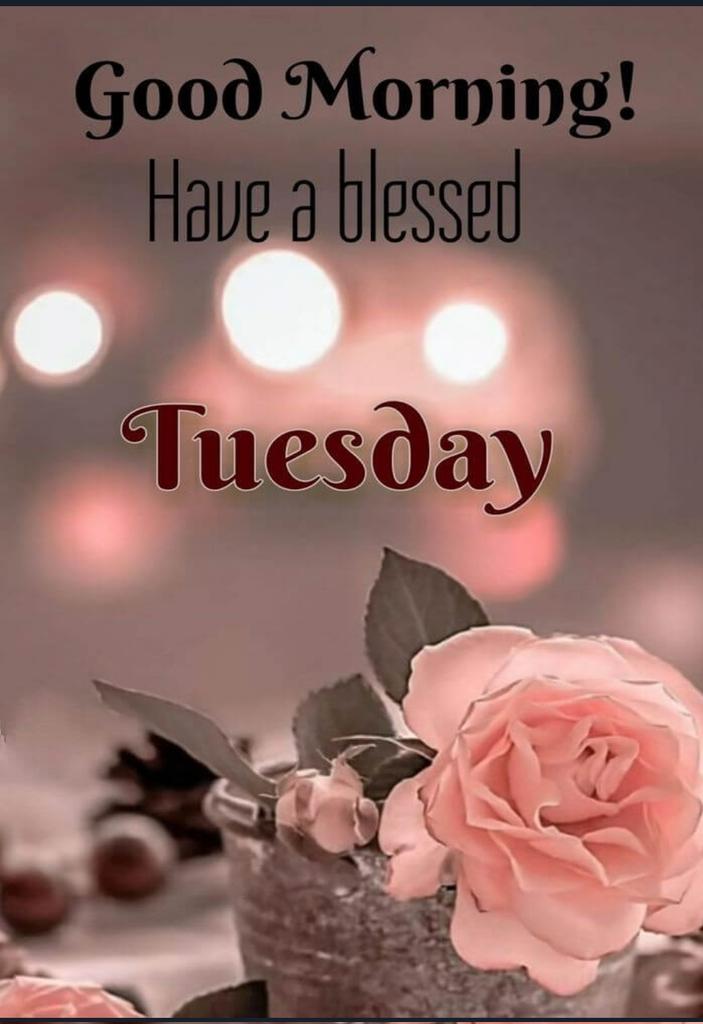 Have A Blessed Tuesday
