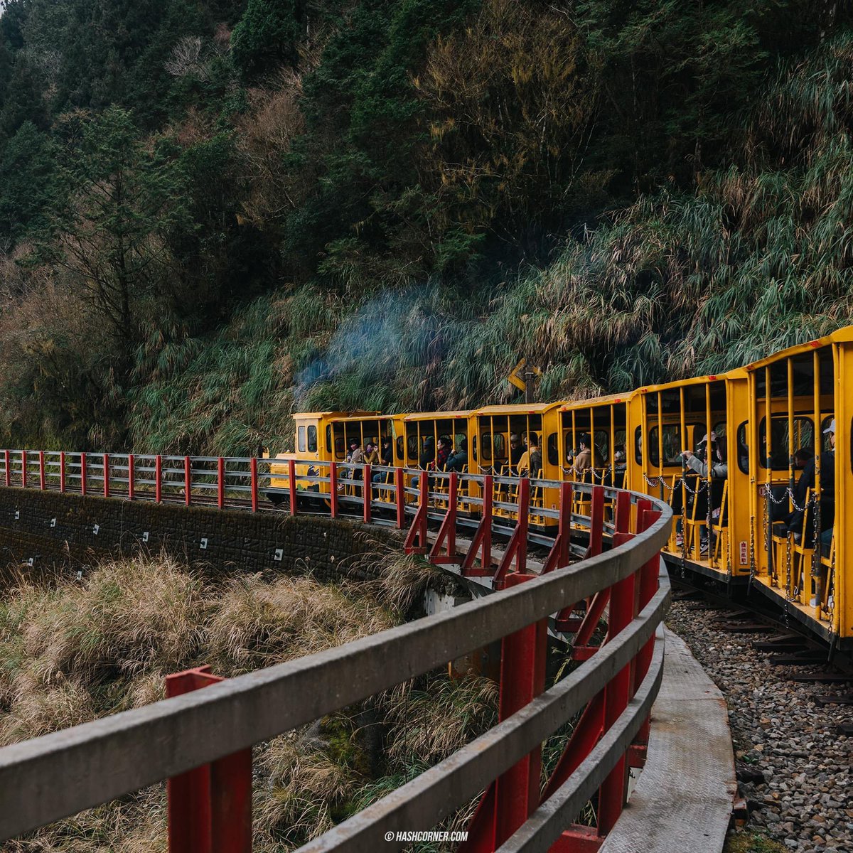 HASHCORNER on Twitter: "ที่เที่ยวธรรมชาติที่เราชอบมากที่สุดอีกแห่งหนึ่งในไต้หวัน ตีคู่มากับอาลี ...