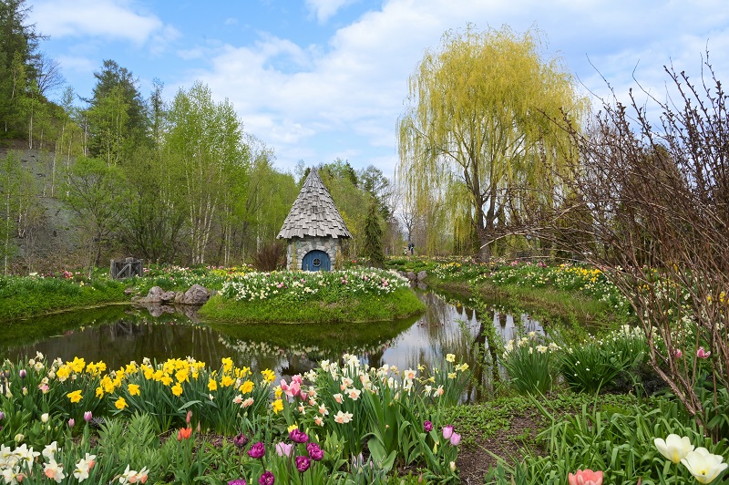 PREZO（プレゾ） on Twitter: "先日、#旭川 の”#上野ファーム”に行ってきました🌼 絵本の中に迷い込んだような気分😊 チューリップやスイセンなど色とりどりの花々の景色に癒され ...