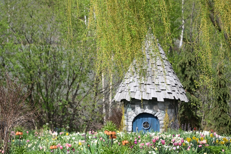 PREZO（プレゾ） on Twitter: "先日、#旭川 の”#上野ファーム”に行ってきました🌼 絵本の中に迷い込んだような気分😊 チューリップやスイセンなど色とりどりの花々の景色に癒され ...