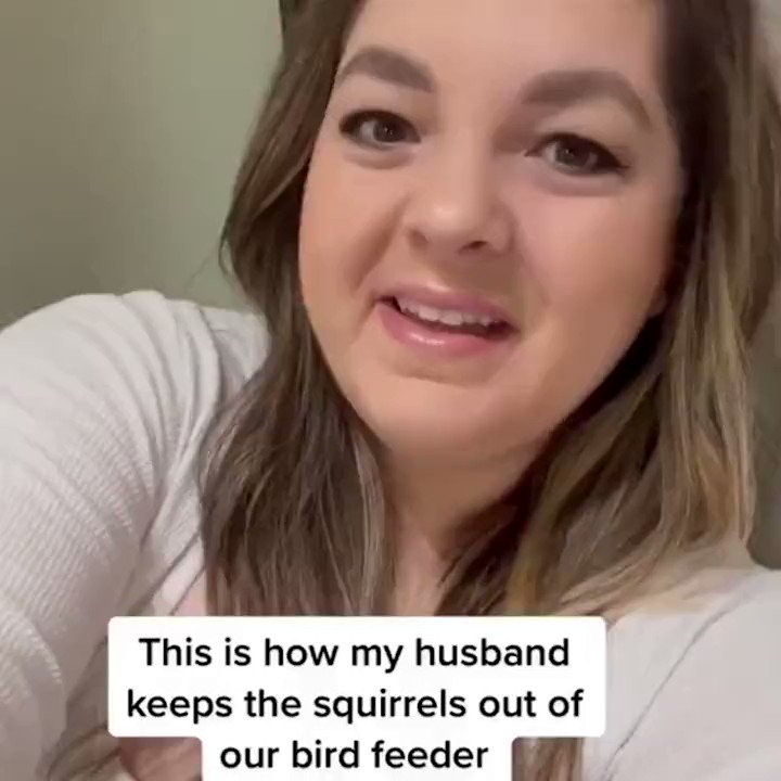 Bappe on Twitter: "🐦This bird feeder is almost perfect. It kept the squirrels away 🐿🛒Get it 👉 ...