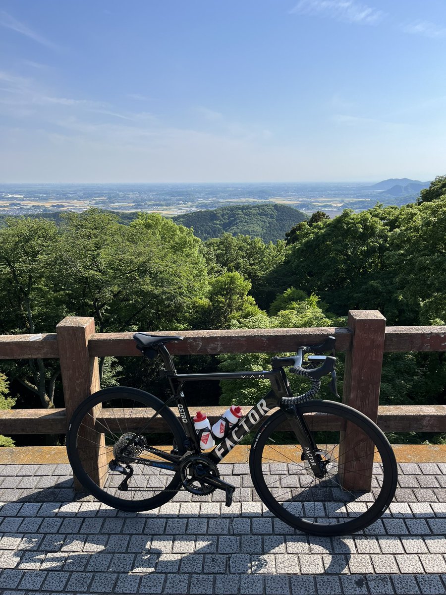 増田 成幸 Nariyuki Masuda On Twitter 今日は練習中にまさかまさかの野ウサギと遭遇しました🐰 栃木でよく出くわす鹿や猿とは違う。 日本では初めて見かける激レア