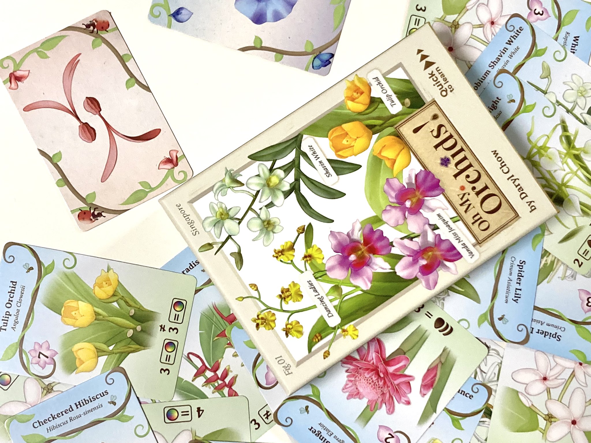 ホヌゲームズ on Twitter: "【お知らせ🐢】 #ゲームマーケット2023春 にて「オーマイオーキッド！」を販売いたします！ 種子を管理して得点となる洋ランを集めていくセット ...