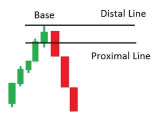 Proximal Vs Distal