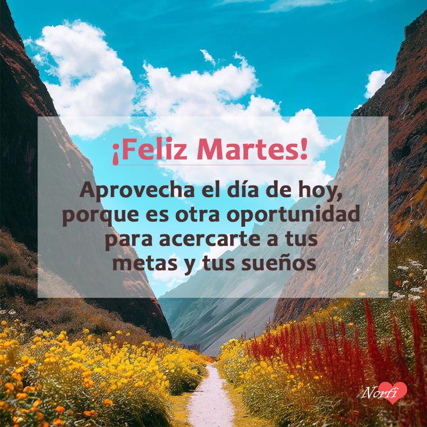 Feliz Martes Frases
