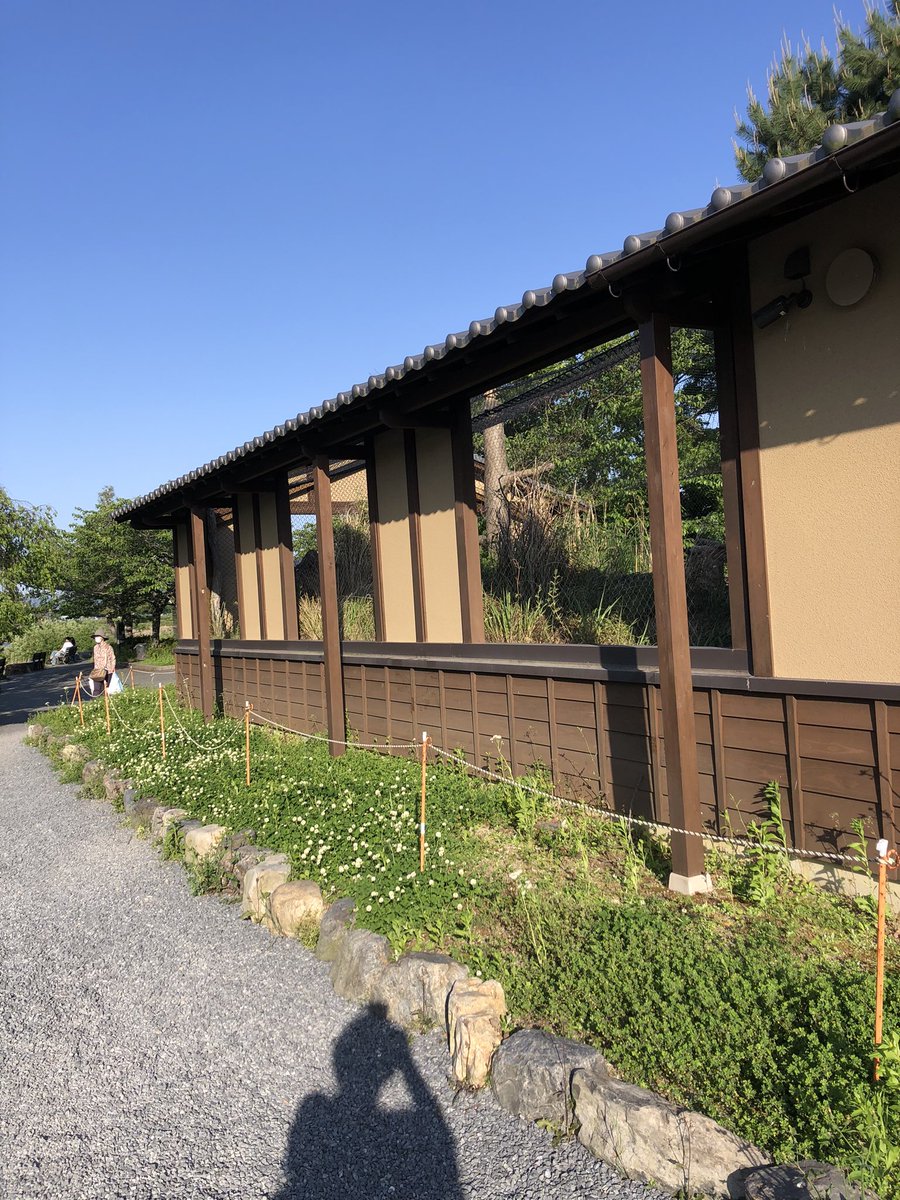 はんこ絵師カピ子 On Twitter 嵐山の鵜小屋廃墟、今日見てきました。水槽の水の中に水草とメダカっぽい小さな魚が ️でも、これって誰かが飼っている?展示してる?違うよね😂