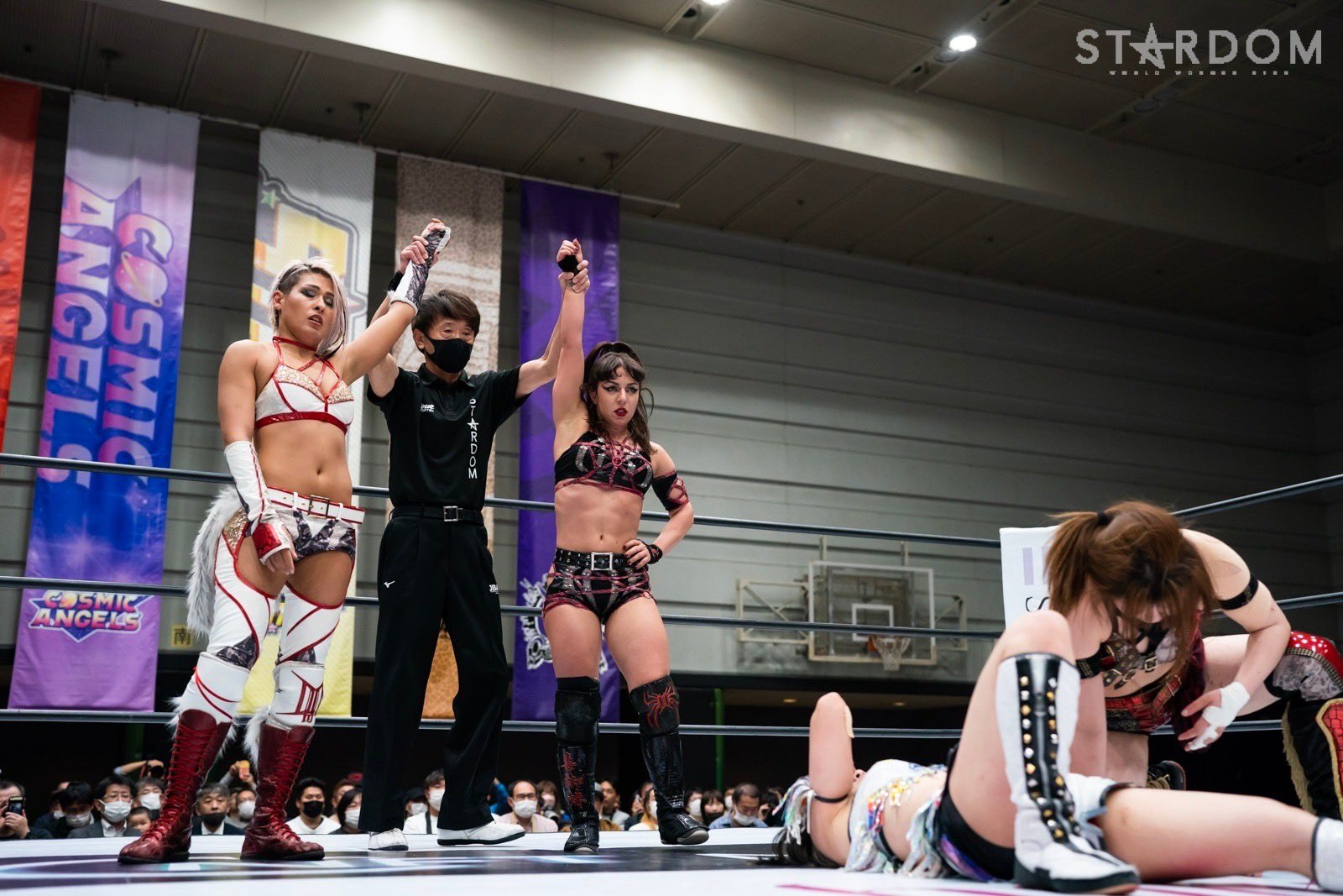 @shimaz5/スターダム / Twitter